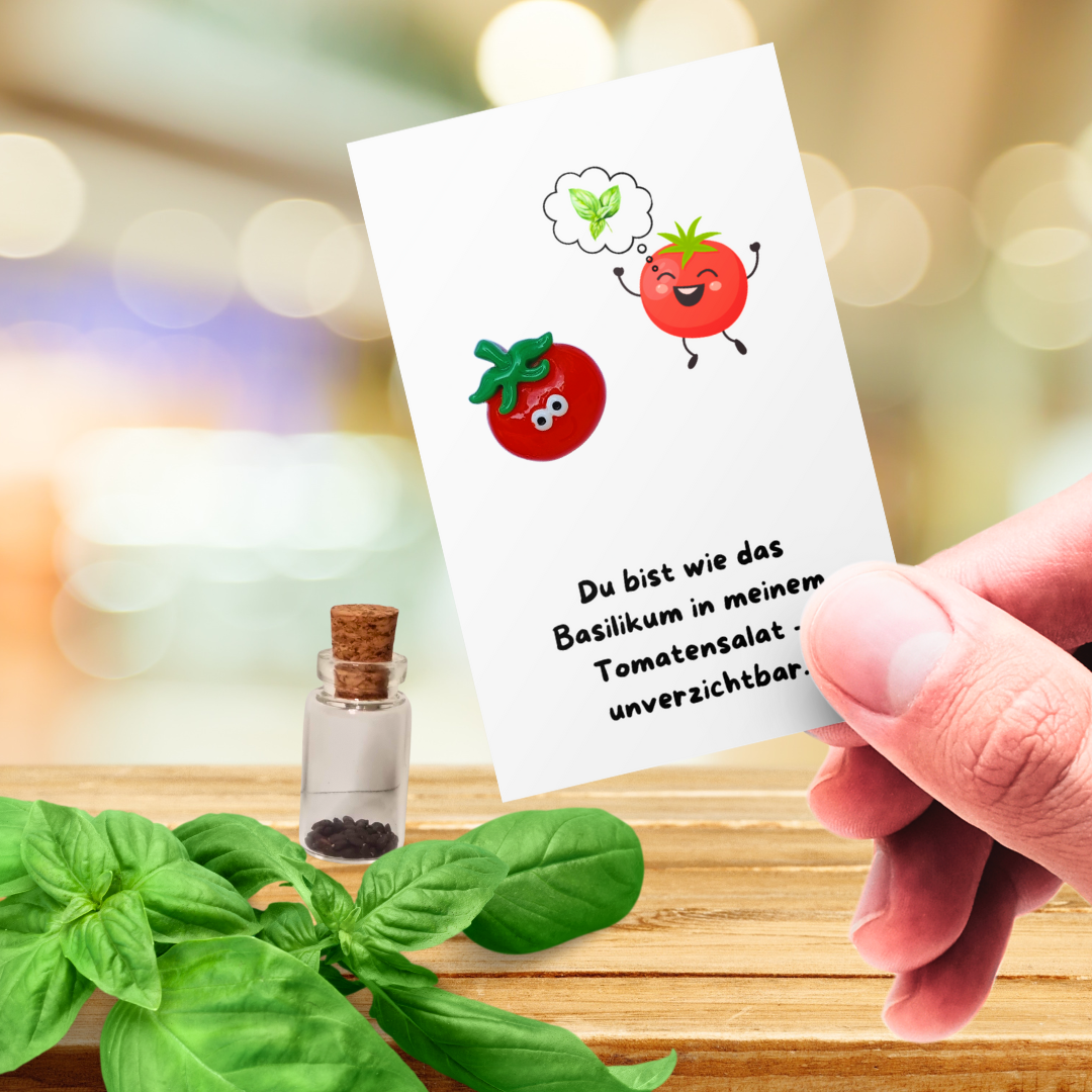 Pocket Hug Tomate - Du bist unverzichtbar – Christine Siebachmeyer